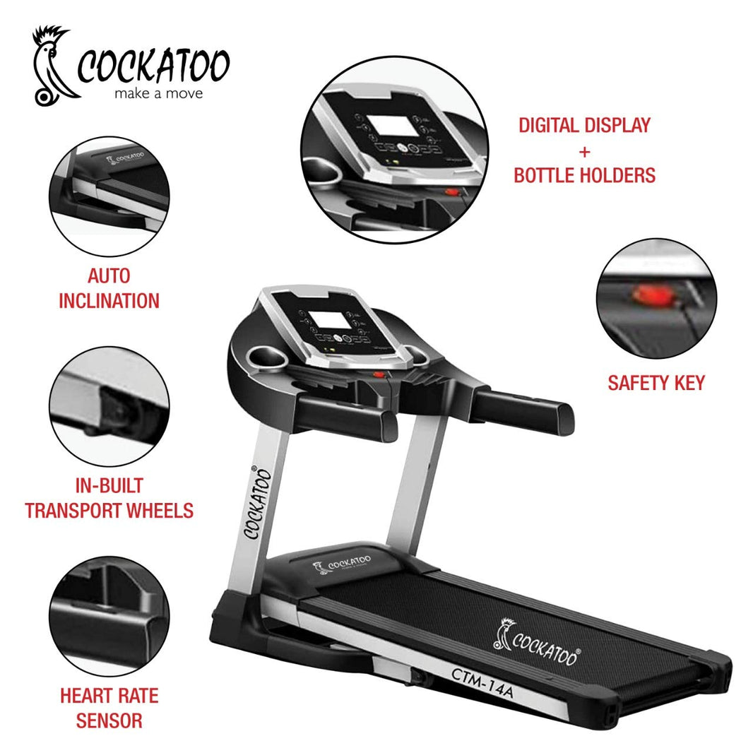 Buy Treadmills for Home Online at Best Prices – Cockatoo