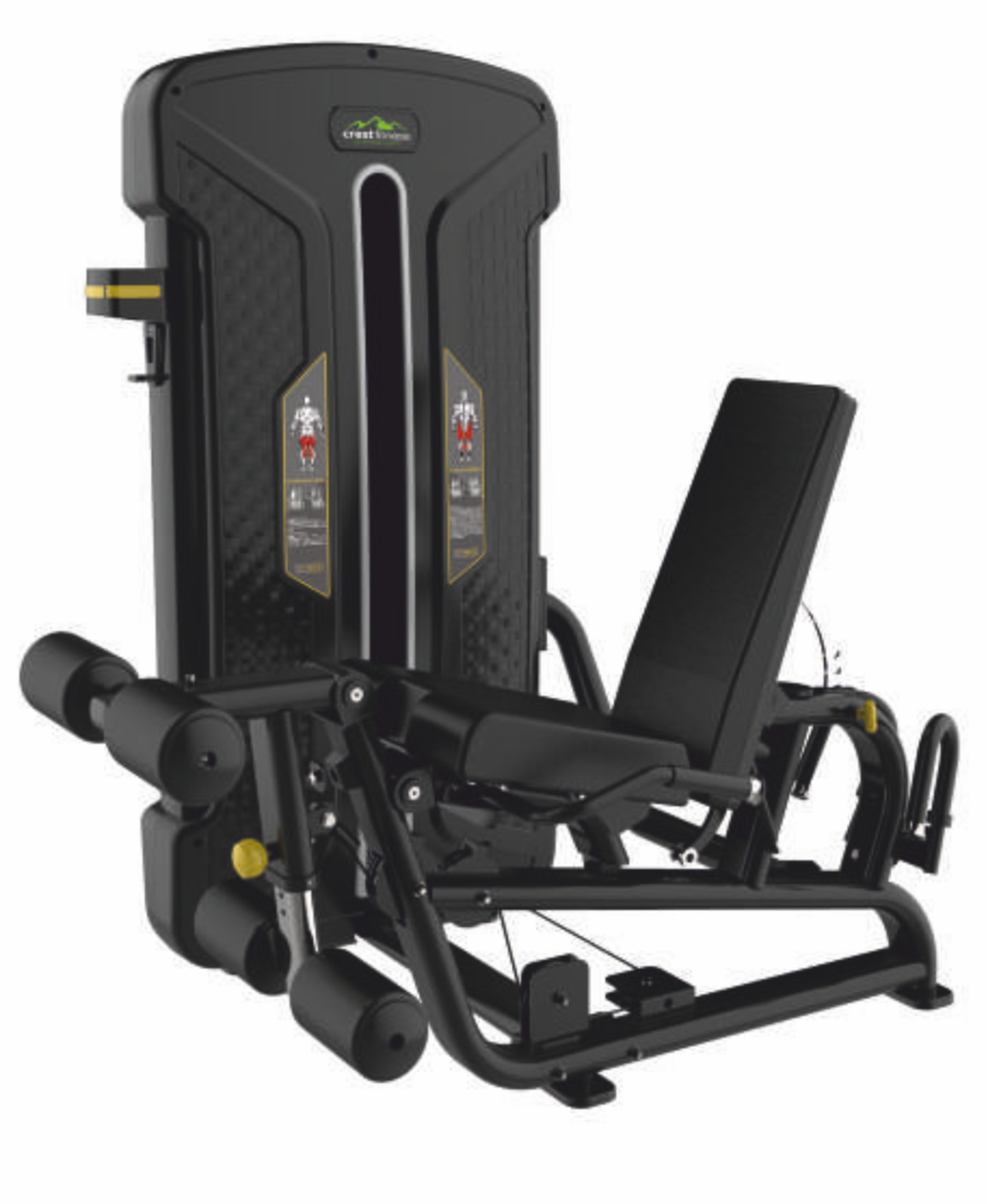 Prone Leg Curl + Extension